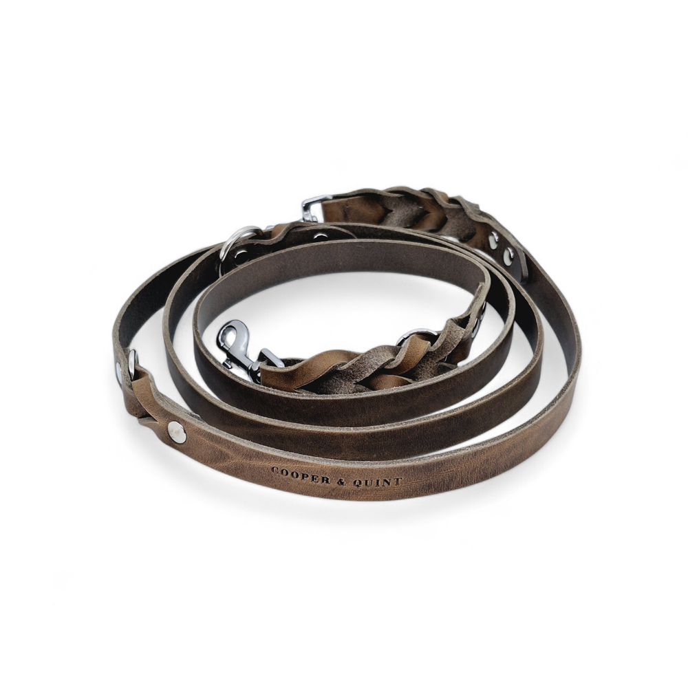 Twisted Switch Adjustable Dog Leash | Stone – Cooper & Quint