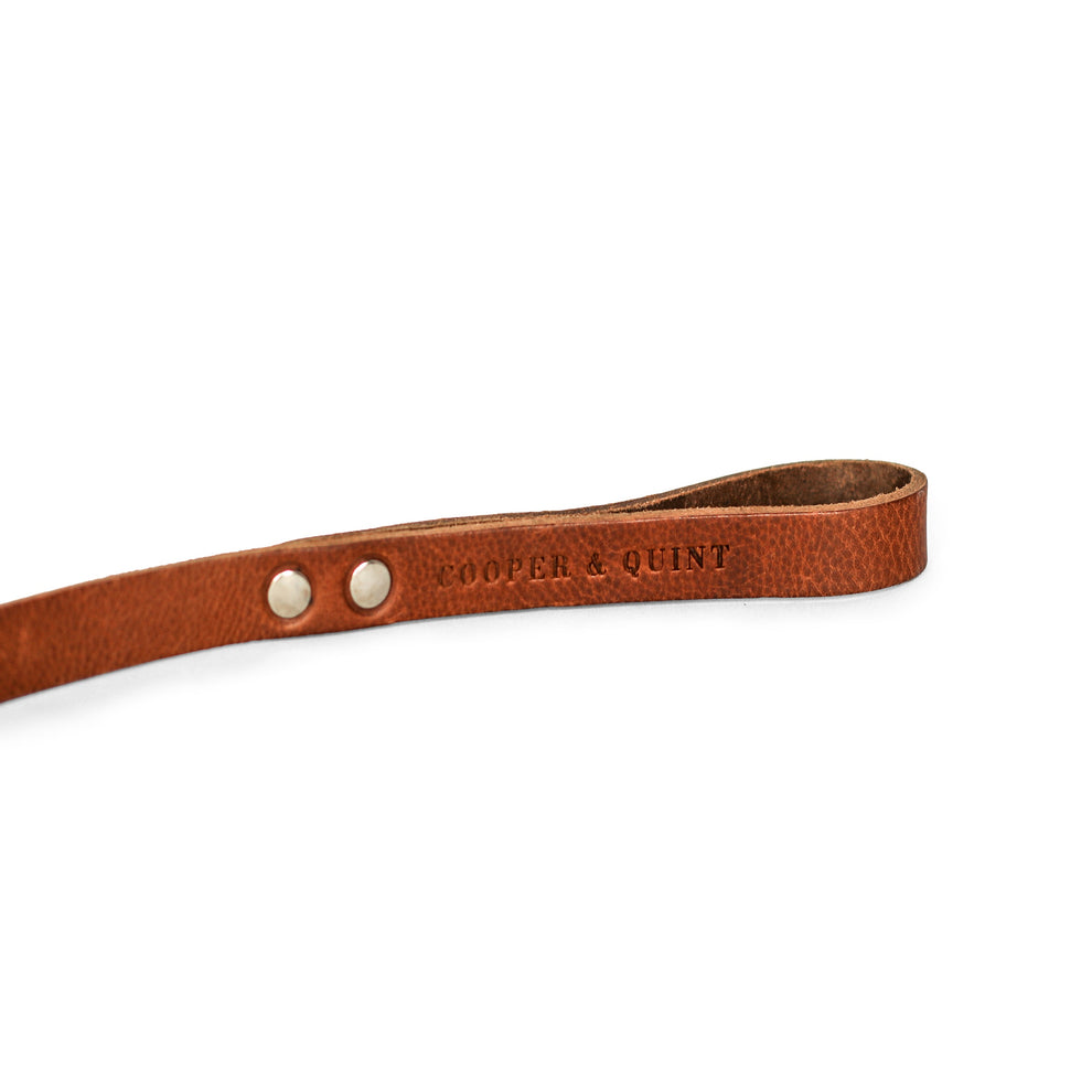 No Fuss Dog Belt Coffee – Cooper & Quint
